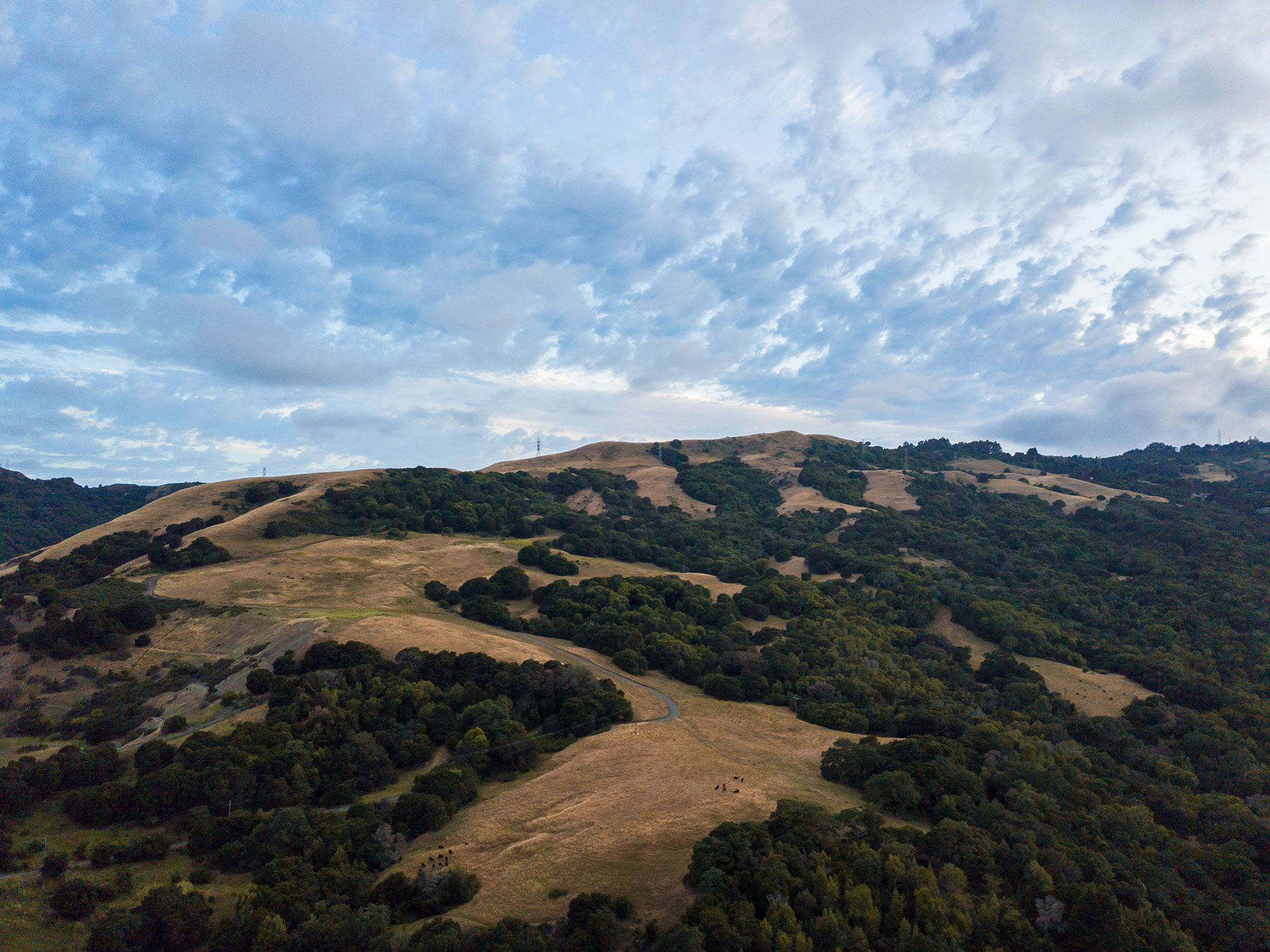 Orinda - Orinda Chamber of Commerce